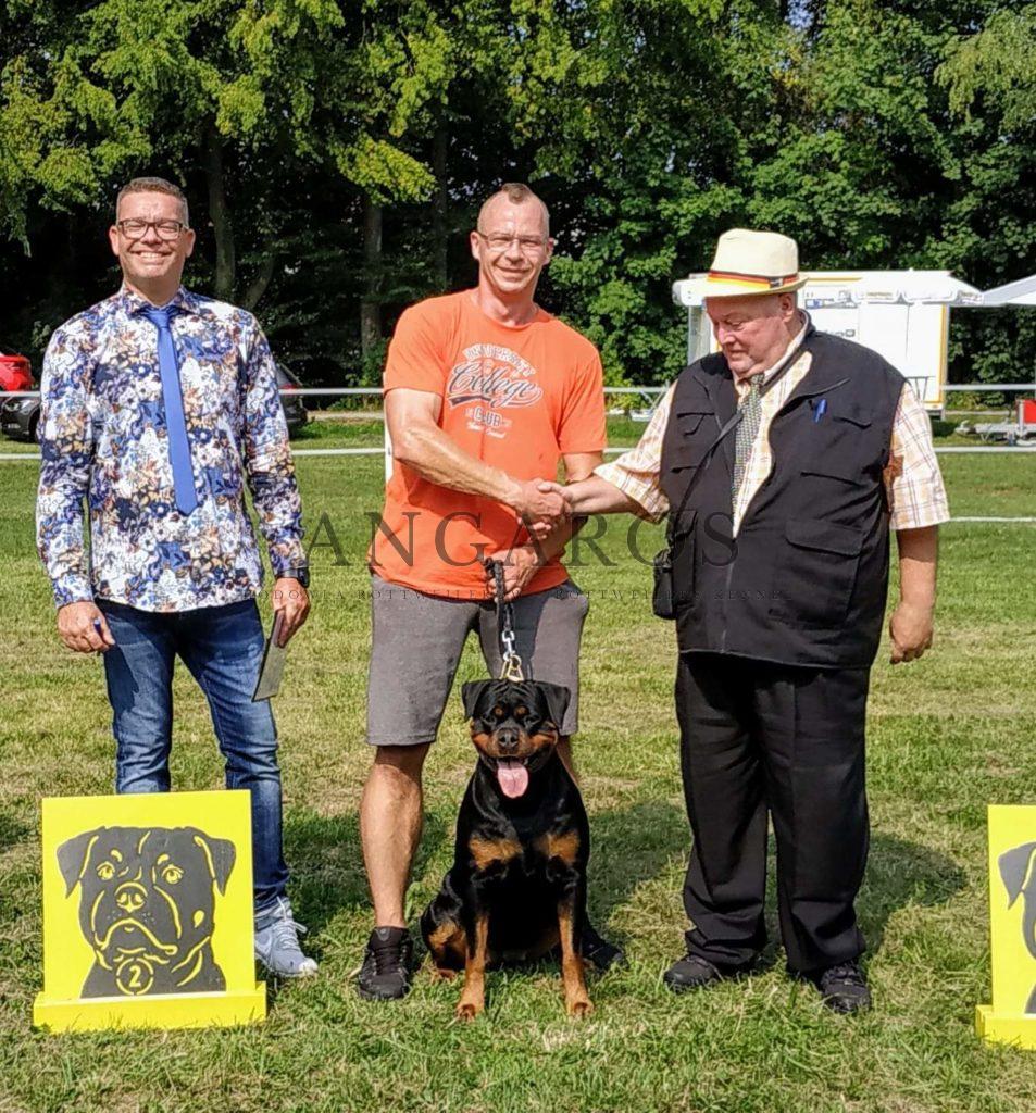 ADRK | Rottweiler - Hodowla Rottweilerów Angaros - Rottweilers ...